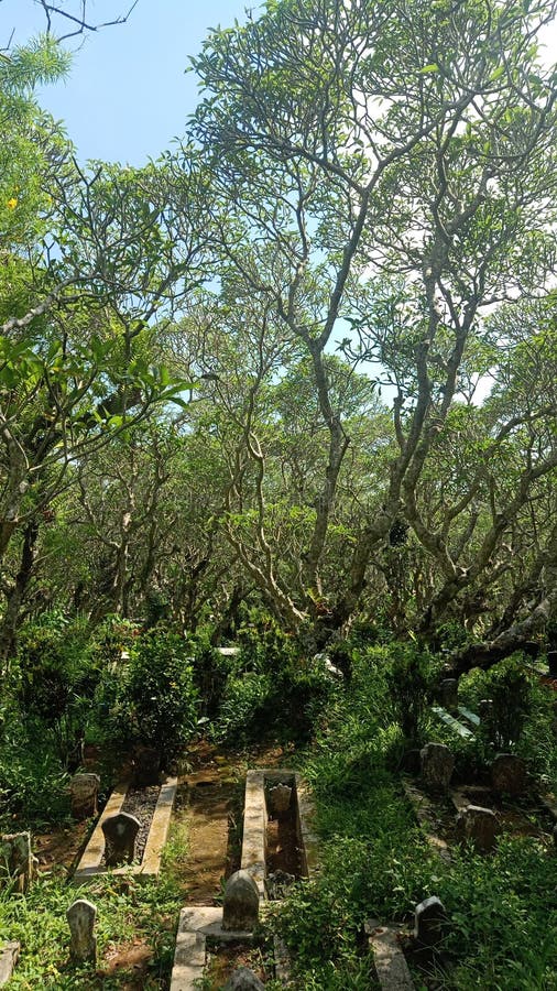 Mahsyar Stock Photos - Free & Royalty-Free Stock Photos from Dreamstime