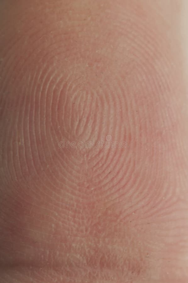 Human finger stock photo. Image of human, identification - 40503420