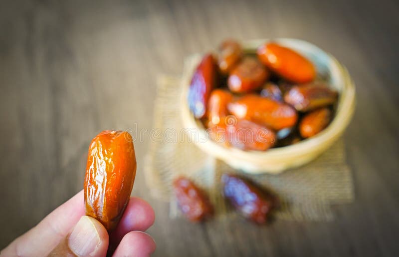 Single Date Palm Tree Isolated on White Stock Image - Image of palm ...