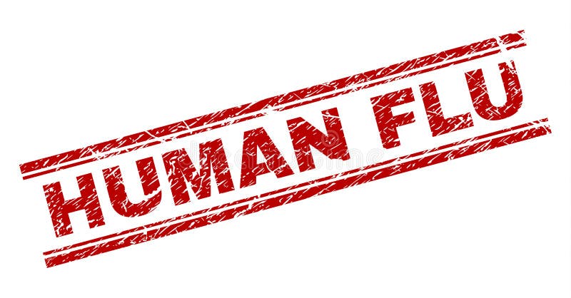 Scratched Textured HUMAN FLU Stamp Seal Stock Vector - Illustration of ...