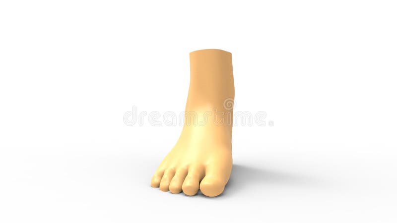 Human Foot 3d Rendering Isolated in White Studio Background Stock ...
