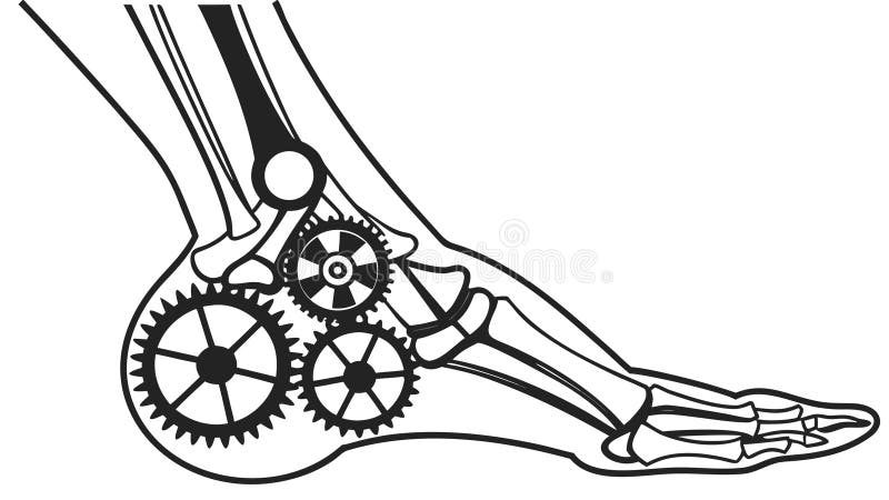 Bionic Anatomy Stock Illustrations – 1,789 Bionic Anatomy Stock ...