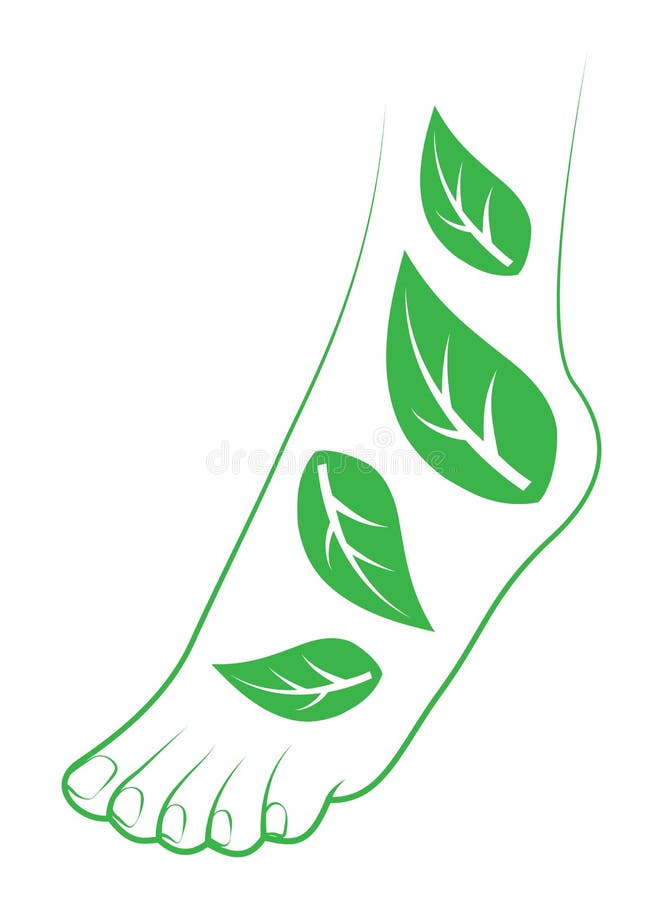 Human foot with leafs stock vector. Illustration of healthy - 34976623