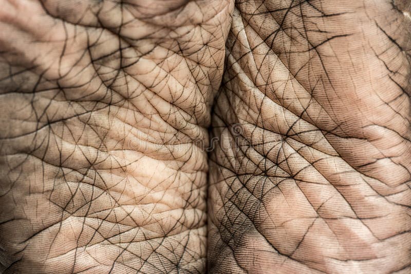 Human foot skin. stock image. Image of feet, people, close - 81959345