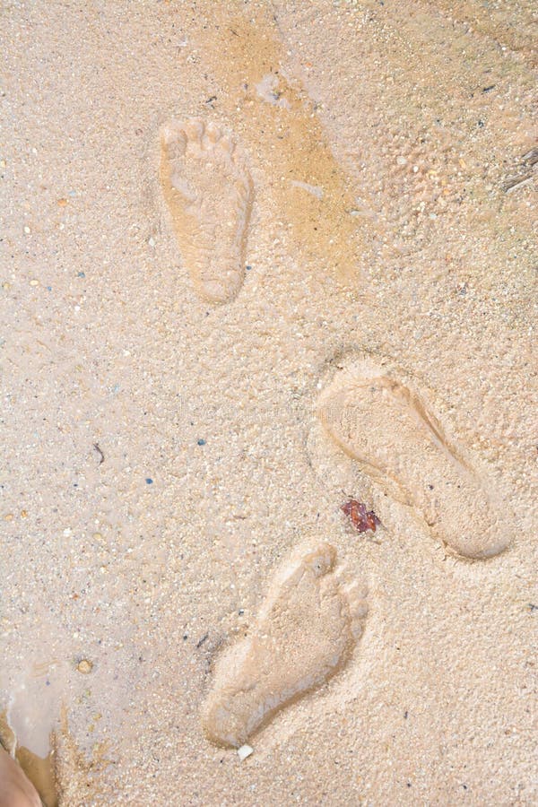 466 Human Footprints Mud Photos - Free & Royalty-Free Stock Photos from ...