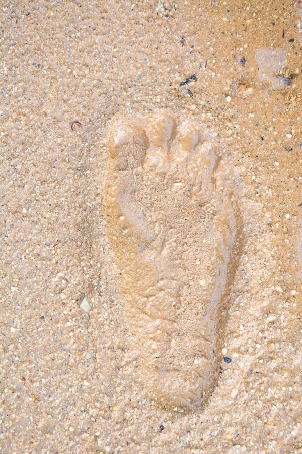 508 Human Footprints Mud Stock Photos - Free & Royalty-Free Stock ...