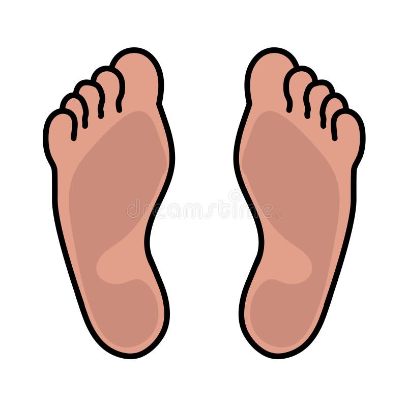 Human Foot Anatomy Illustration Vector Stock Vector - Illustration of ...
