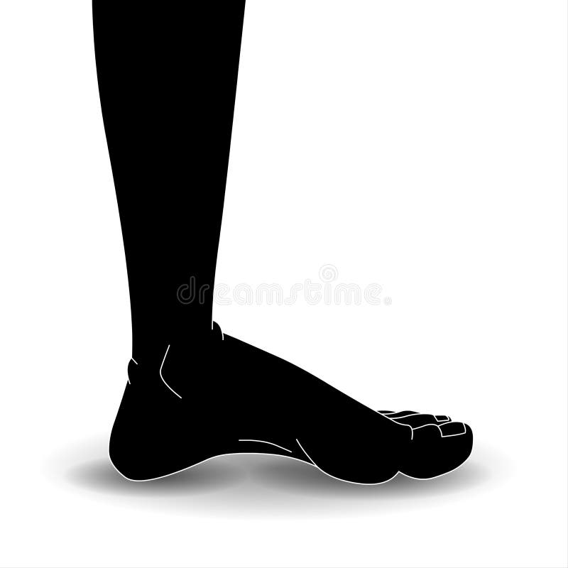 Human Foot on a White Background with Shadow. Stock Illustration ...