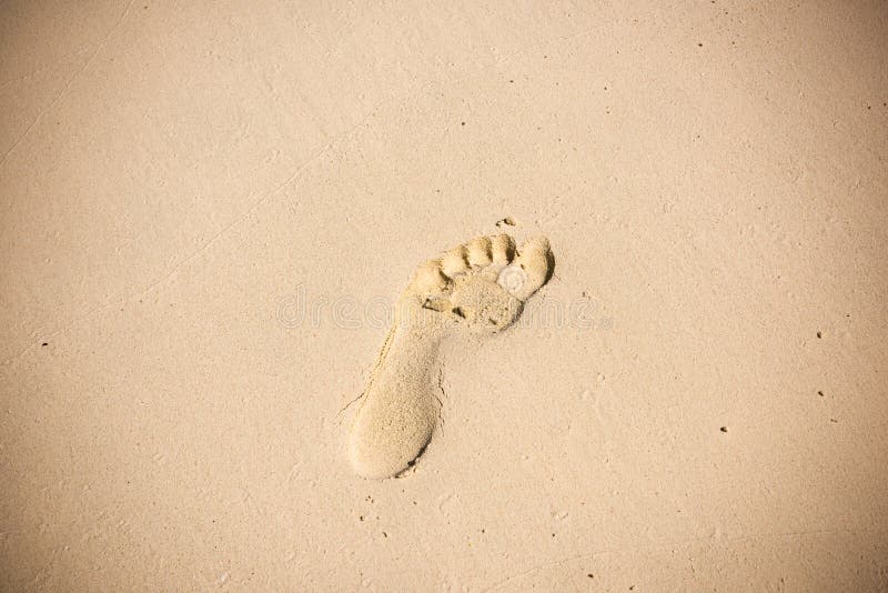 Human Footprint on Beach Sand Stock Photo - Image of trail, sand: 50008870