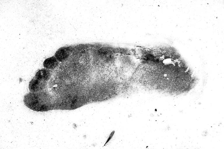 Human Footprint Drawn on the Snow Stock Image - Image of white, frost ...