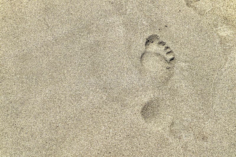 Human Footprint Embedded in Soft Beach Sand Stock Photo - Image of ...