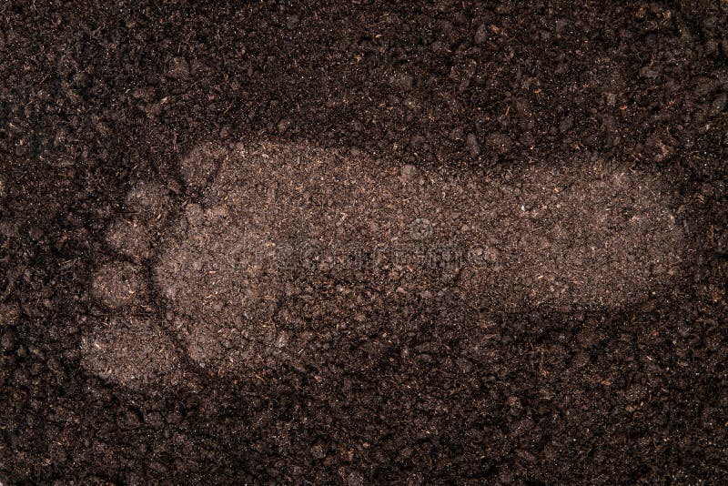 Human Footprint on the Ground Stock Photo - Image of humanity ...