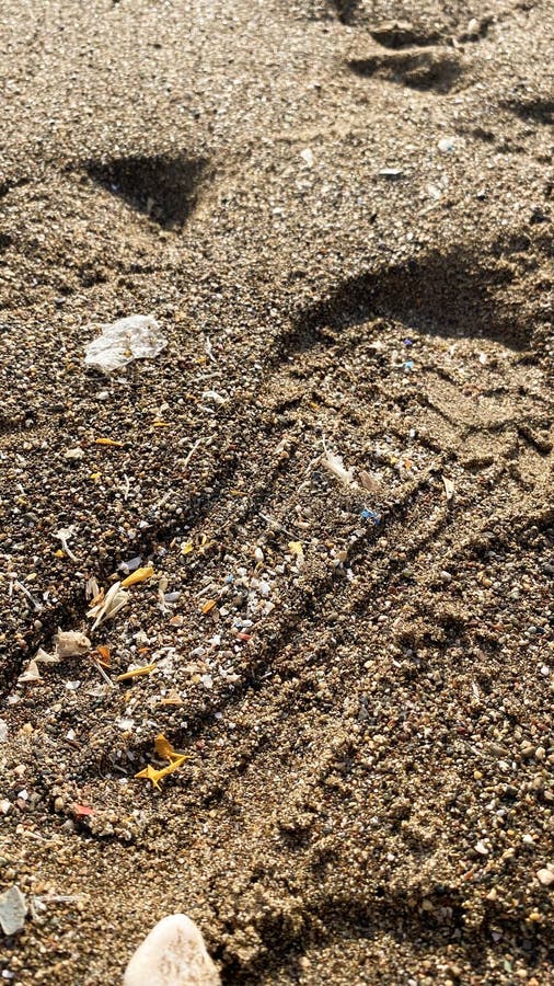 Human Footprint. Microplastic in the Sand on the Beach, Plastic ...
