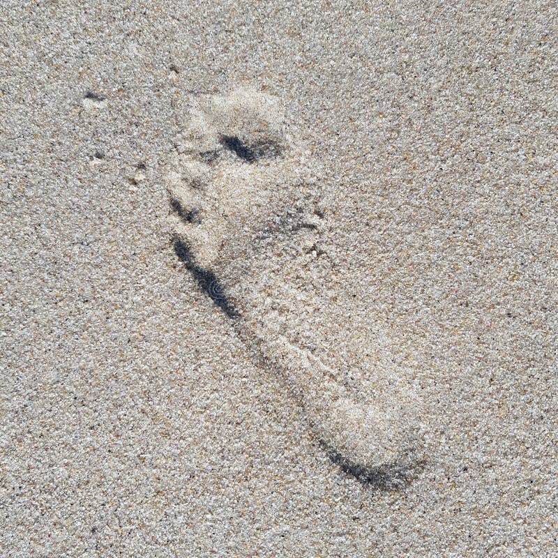Human Footprint on the Sand Stock Photo - Image of beach, coast: 310574350
