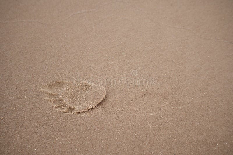 .a Human Footprint in the Sand Stock Image - Image of feet, footstep ...