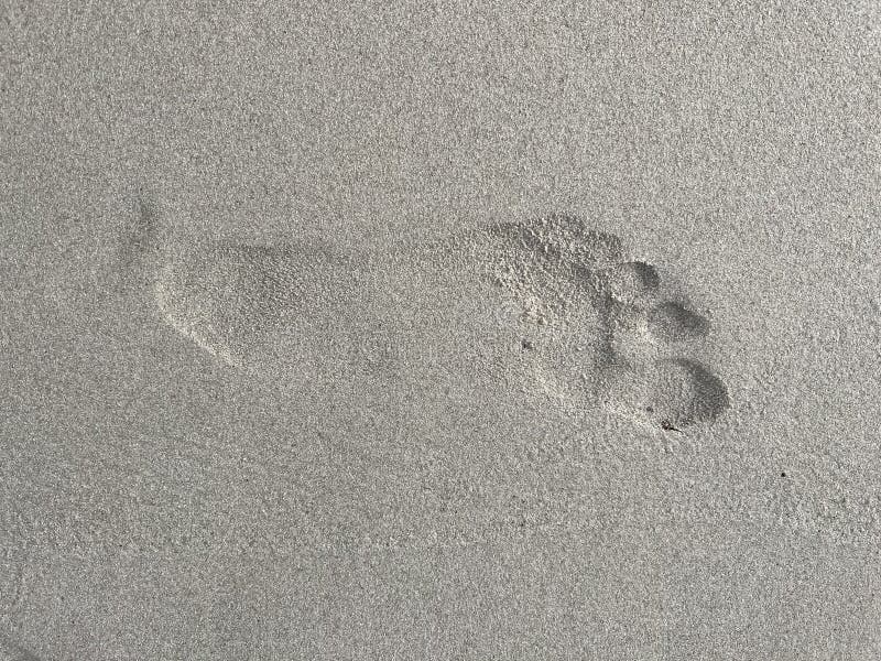 Human footprint in sand stock photo. Image of vacation - 265129582