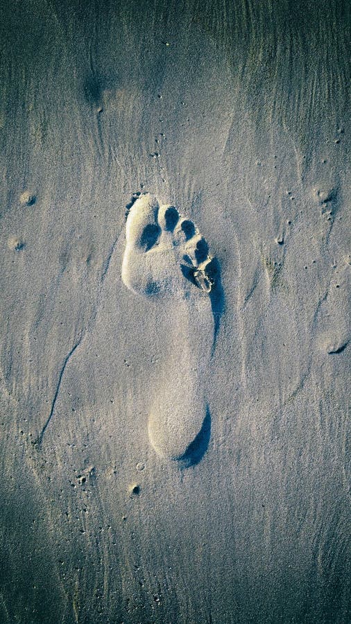 Human Footprint in Silver Grey Sand. Stock Image - Image of desert ...
