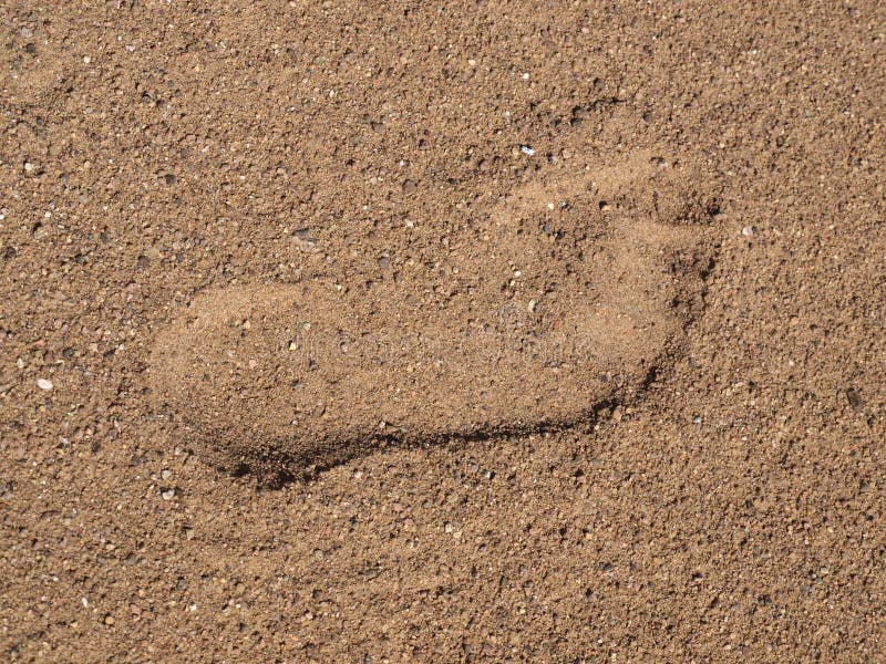 Human`s Footprint on a First White Snow, Top View Stock Image - Image ...