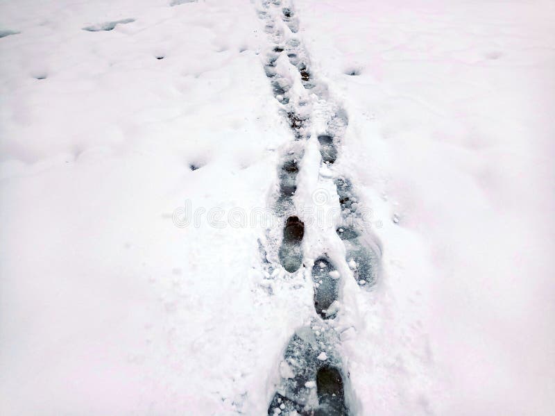 Human Footprint in White Snow, Free Space. Footprints from Boots in the ...