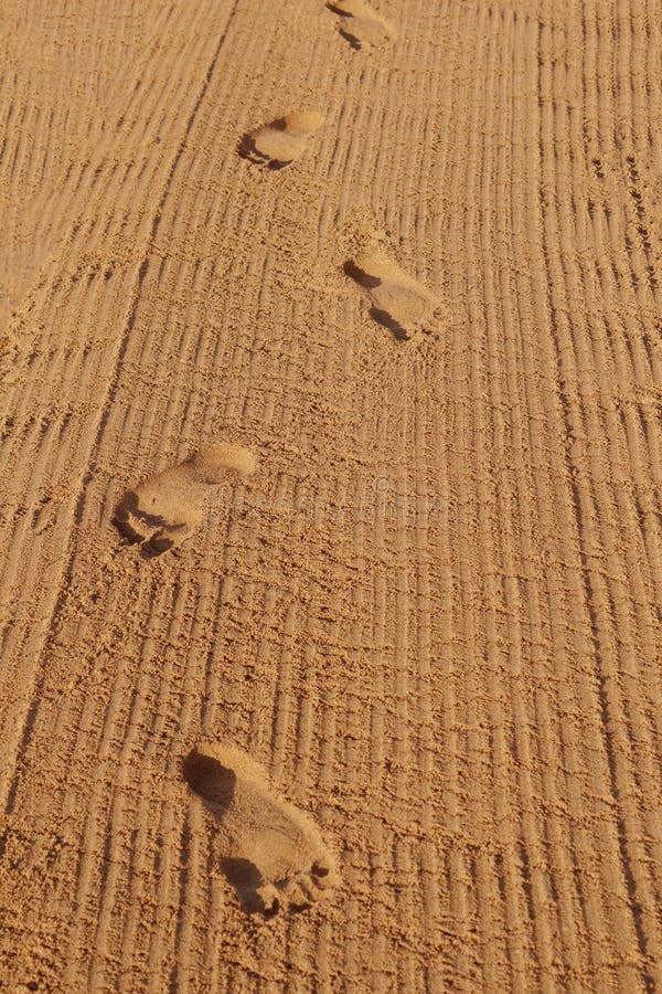 Human Footprints on the Beach Sand Stock Photo - Image of activity ...