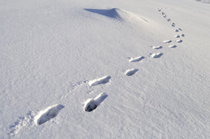 Human Footprints in Deep Snow Stock Image - Image of footprints, deep ...