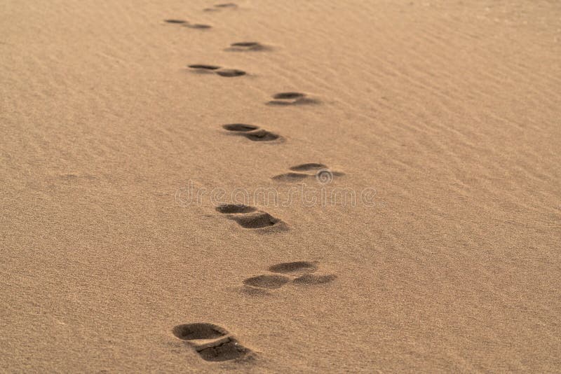 Footprints on empty beach stock photo. Image of tropical - 144836904