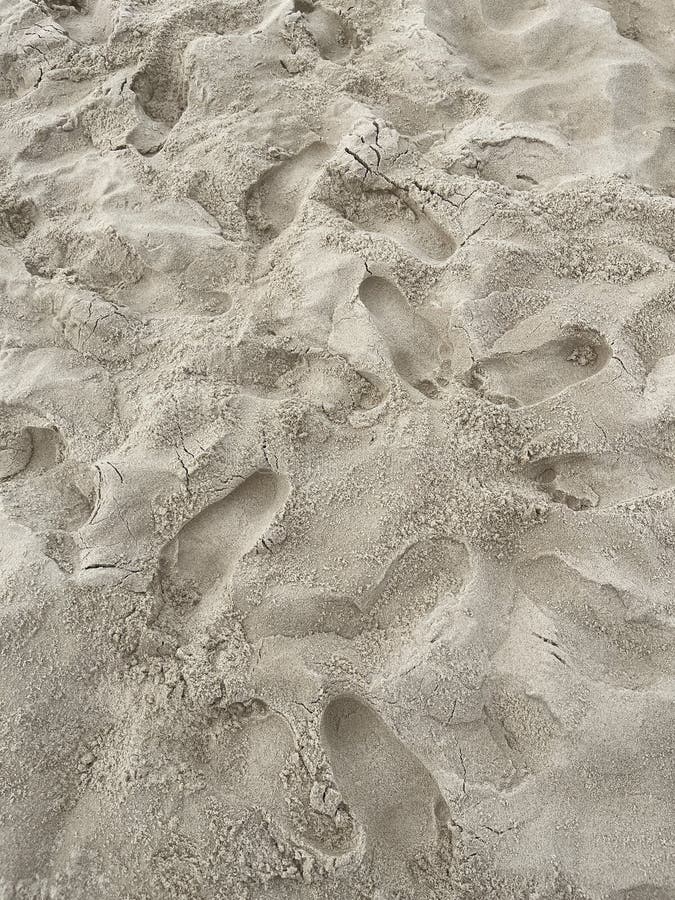 Human Footprints in Fine Sand of the Beach Stock Image - Image of sand ...