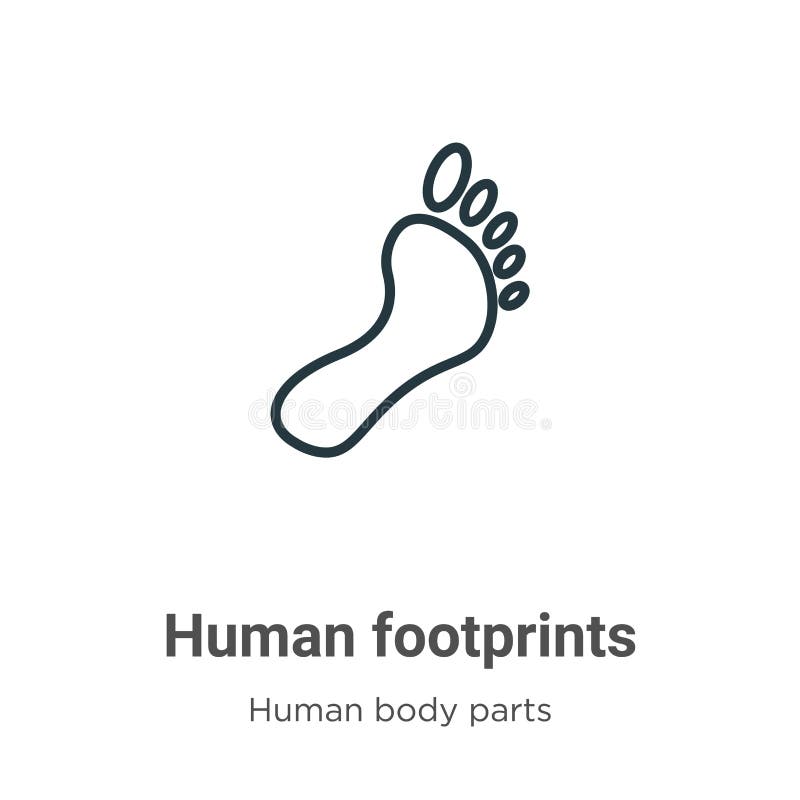 Footprints Outline Variant Icon Vector from Body Parts Collection. Thin ...