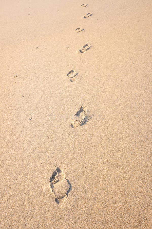 Human Footprints in the Sand of a Beach Stock Photo - Image of ...