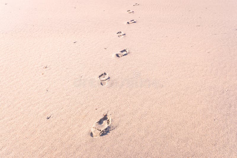 Human Footprints on the Sand of a Beach Stock Image - Image of empty ...