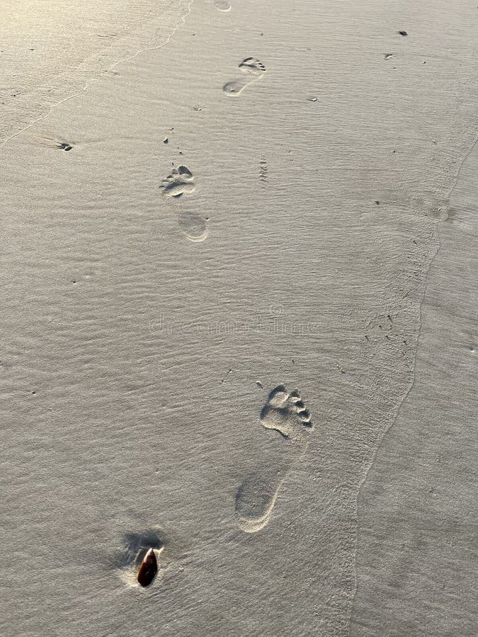 Human footprints in sand stock image. Image of path - 265242515