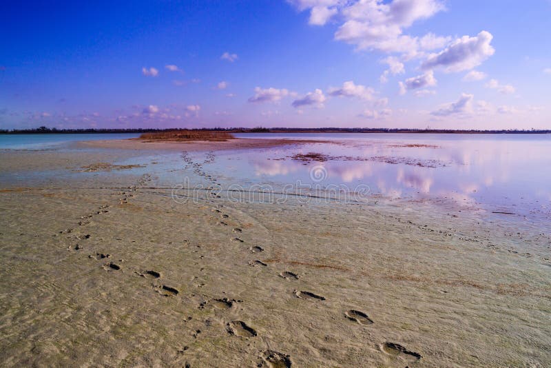 Human Footprints in the Sand Leading To the Lake Stock Image - Image of ...