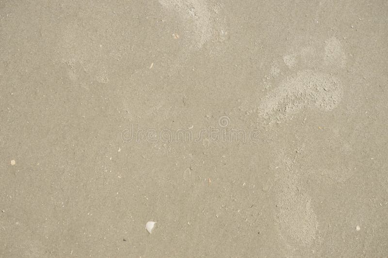 Human Footprints in the Sand. Texture Background Footprints of Human ...