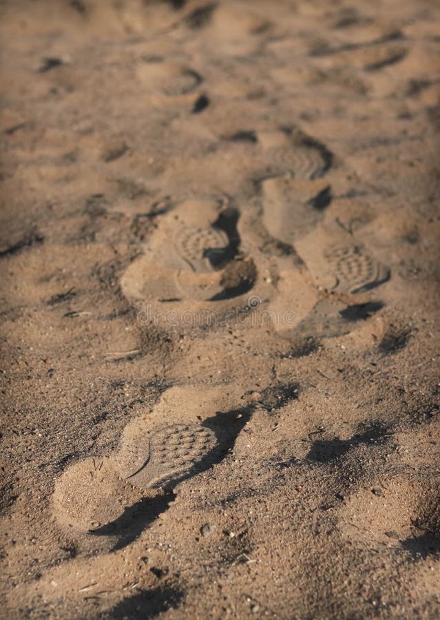Clear Footprints in the Sand Stock Image - Image of brown, clear: 217122673