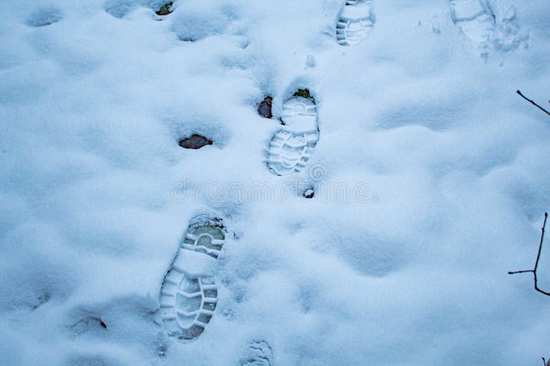Human Footprints on the Snow Stock Image - Image of snow, flower: 314253825