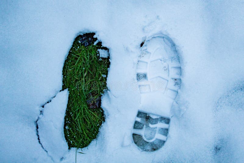 Human Footprints on the Snow Stock Image - Image of leaf, flower: 314253873