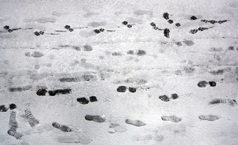 Human Footprints in the Snow Stock Photo - Image of people, wintry ...