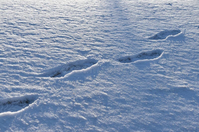Human Footprints in the Snow on the Plain. Stock Image - Image of blue ...