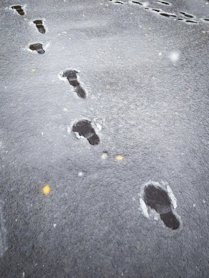 Human Footprints in Wet Snow Stock Image - Image of wade, unknown ...