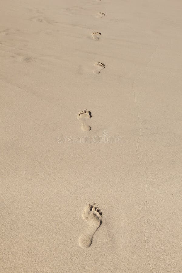 Human Footsteps at the Sandy Beach Stock Photo - Image of step, foot ...