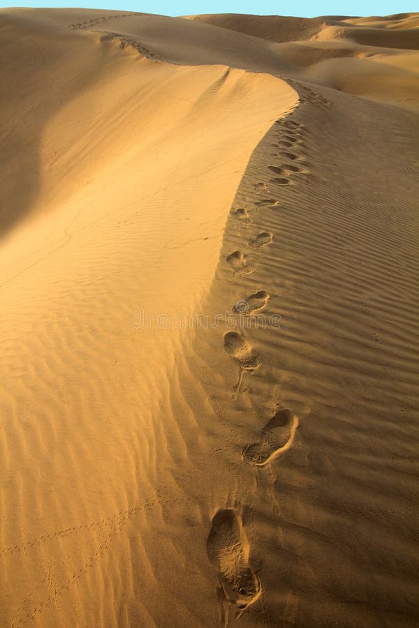 Footsteps in the sand stock image. Image of beach, lonely - 5719697