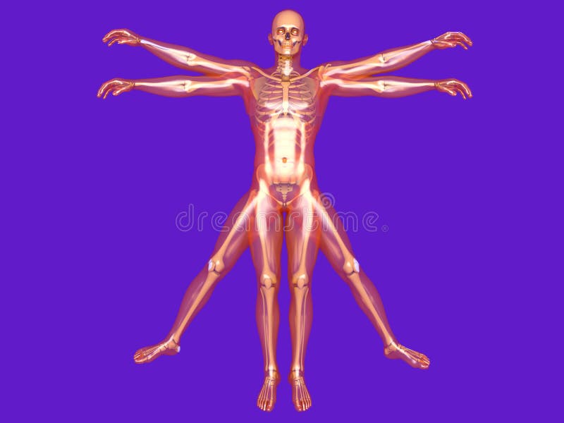 Human Form stock illustration. Illustration of mankind - 72744164