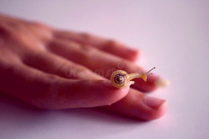 1,575 Human Snail Stock Photos - Free & Royalty-Free Stock Photos from ...