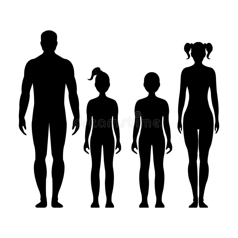 Human Front Side Silhouette. Isolated on White Background. Vector ...