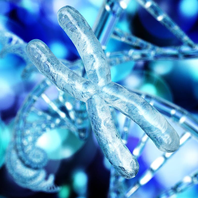 Human gene X chromosome stock illustration. Illustration of research ...