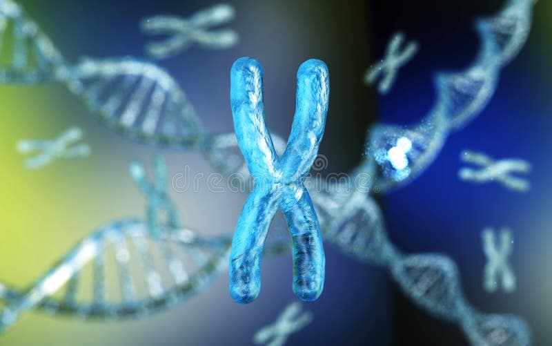 Human gene X chromosome stock illustration. Illustration of research ...