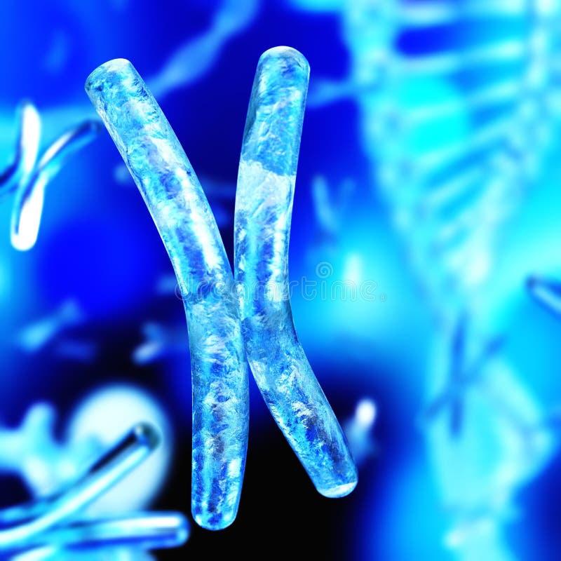 Human gene X chromosome stock illustration. Illustration of research ...