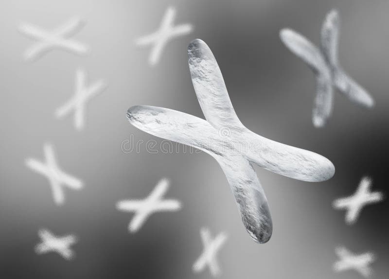 Human Gene X Chromosome, 3d Rendering Stock Illustration - Illustration ...