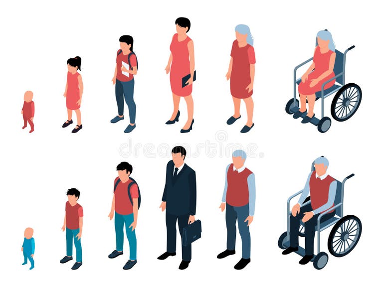 Life Cycles Man Woman Stock Illustrations 22 Life Cycles Man Woman