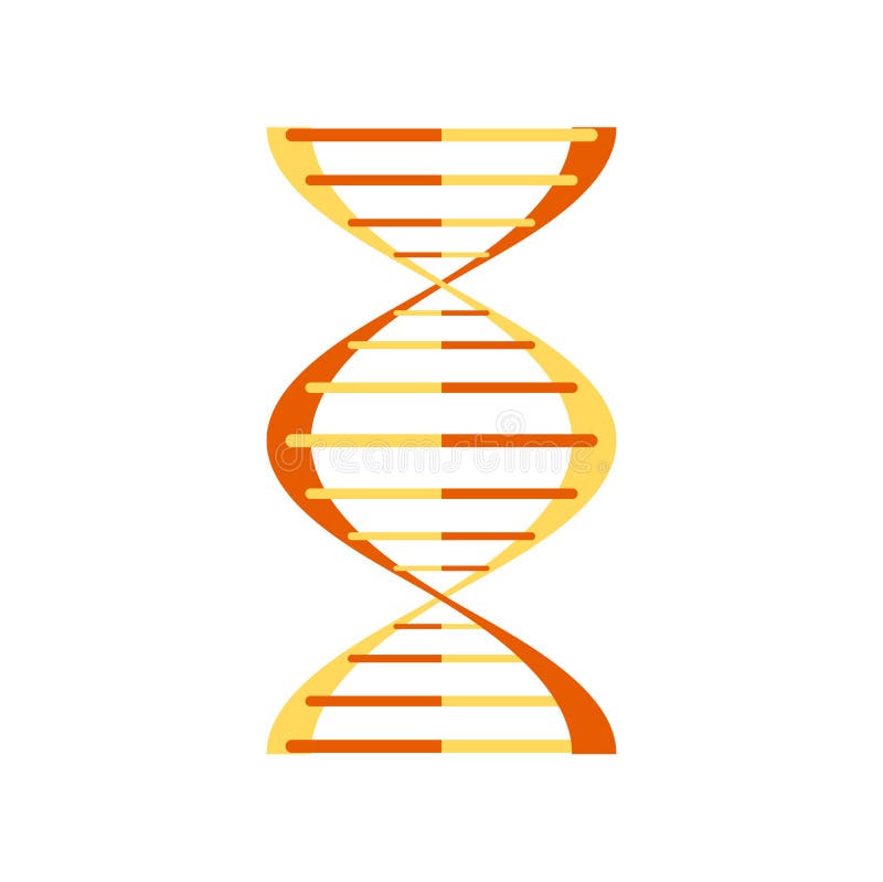 Human Genes Cell Dna Molecules Helix Structure Stock Vector Illustration Of Structure